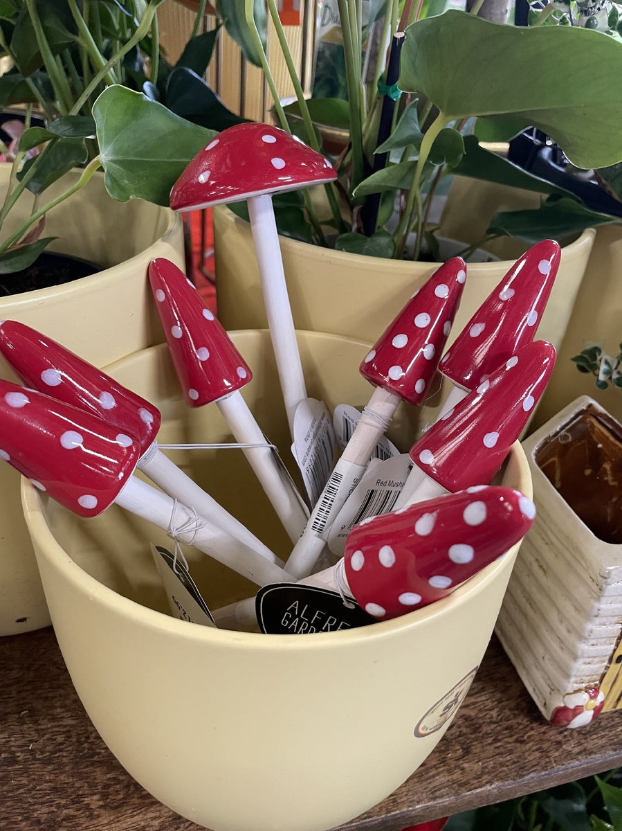 AG RED MUSHROOM STICKS – Poyntons Nursery
