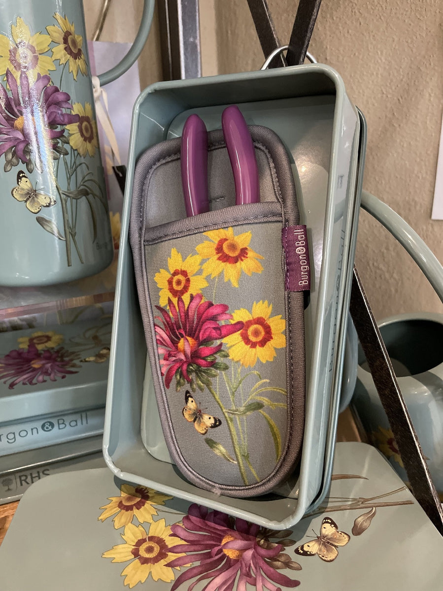 RHS GIFT PRUNER AND HOLSTER SET ASTER – Poyntons Nursery