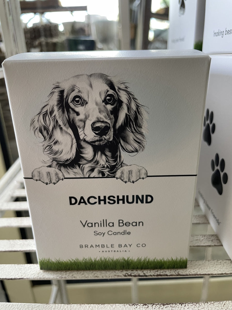 PET CANDLE DACHSHUND – Poyntons Nursery