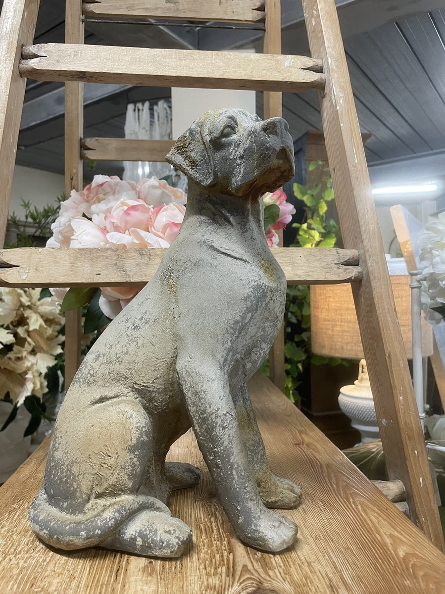 BARON DOG DECOR – Poyntons Nursery