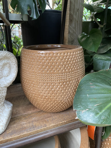 AYA POT SMALL – Poyntons Nursery