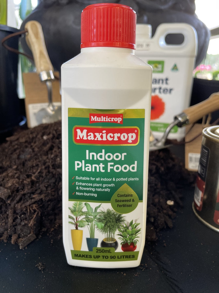 MAXICROP INDOOR PLANT FOOD 250ML – Poyntons Nursery