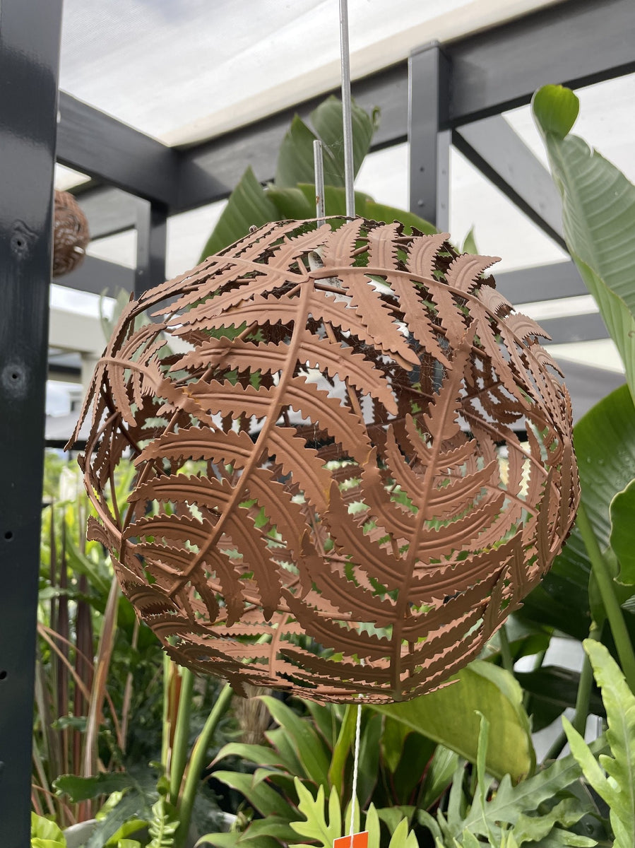 FERN GARDEN BALL LARGE US527 – Poyntons Nursery
