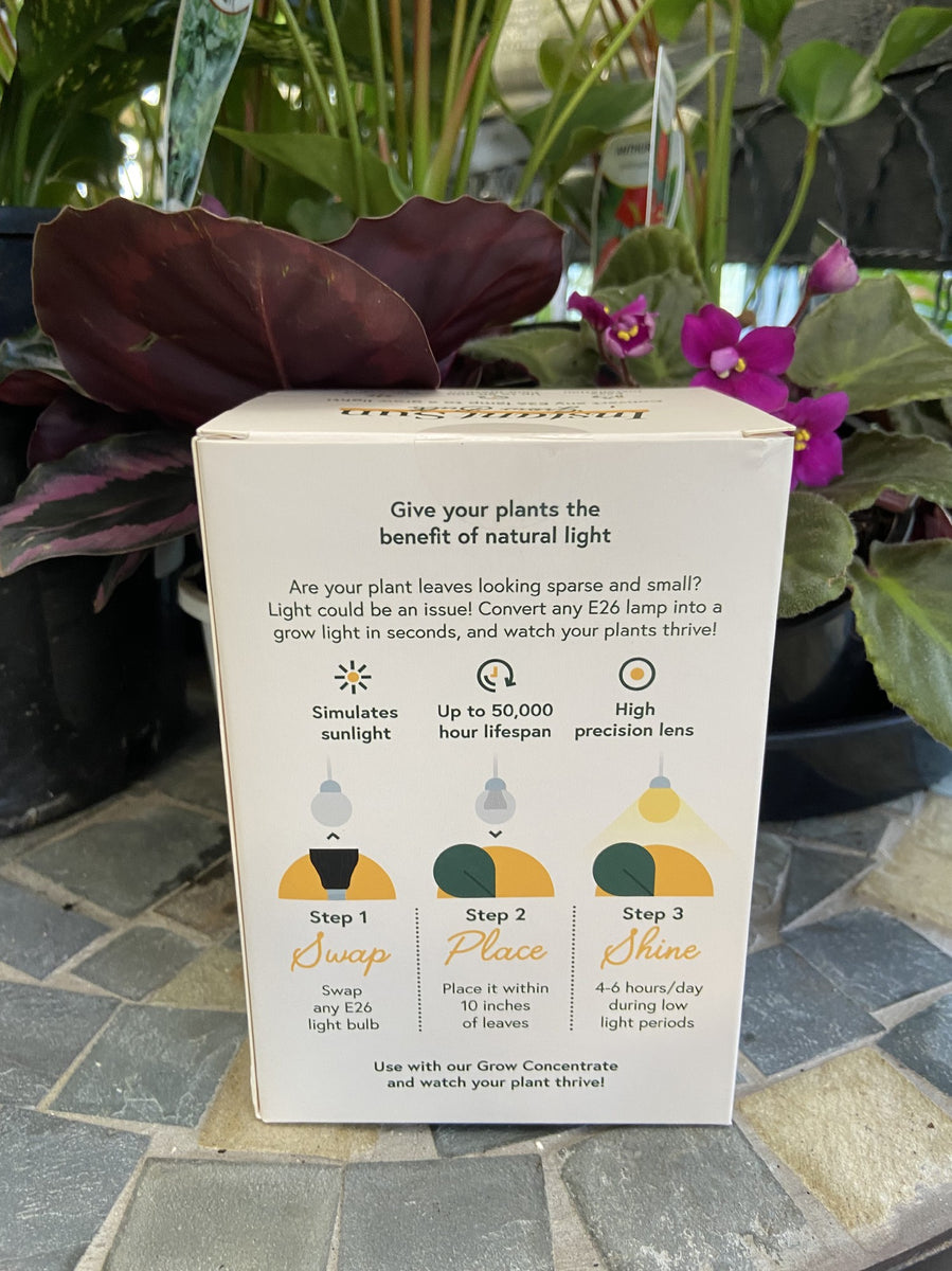 INSTANT SUN GROW BULB – Poyntons Nursery