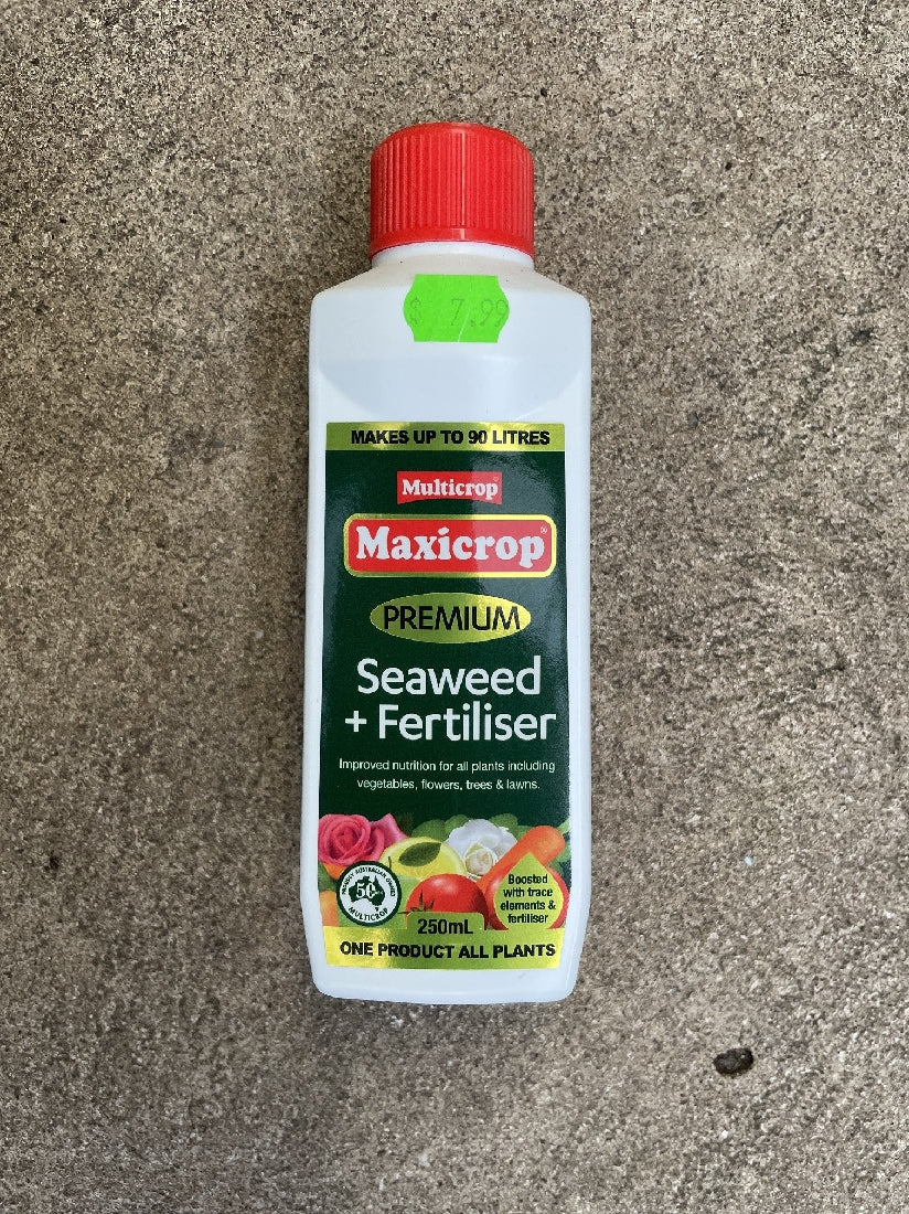 MAXICROP SEAWEED PLUS FERTILISER 250ML – Poyntons Nursery